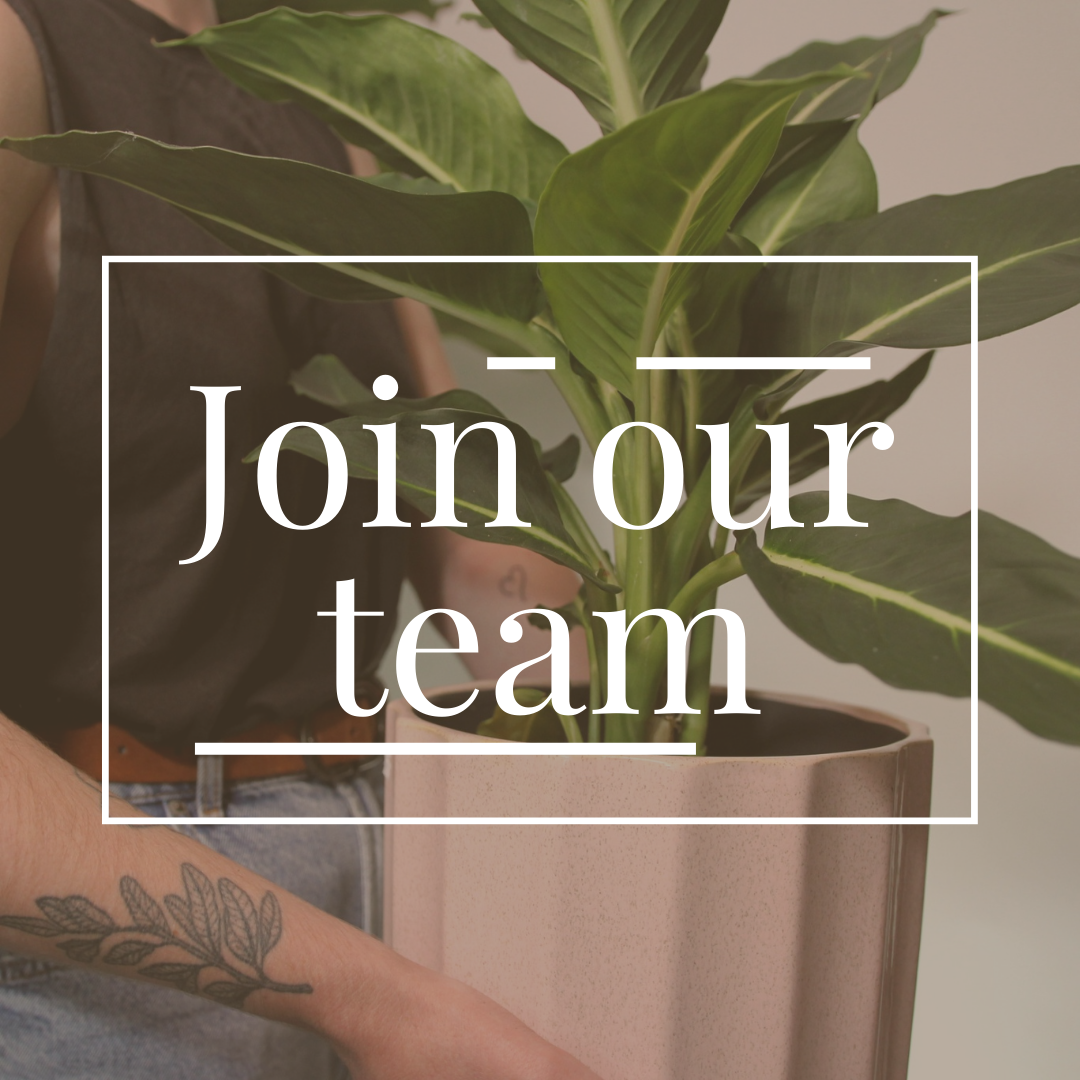 Join our team – Hopeless Botanics