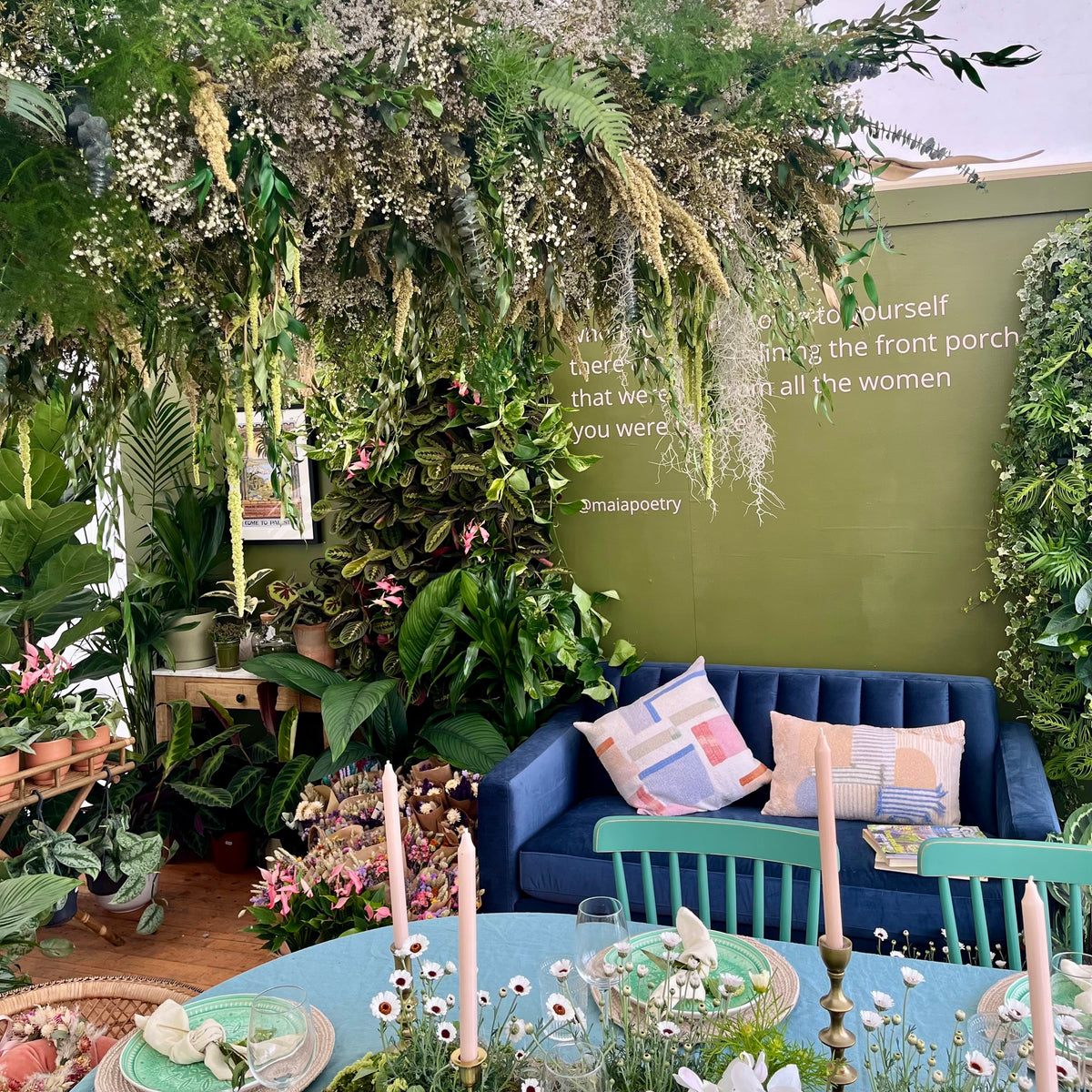 HB at Bord Bia Bloom 2024 – Hopeless Botanics