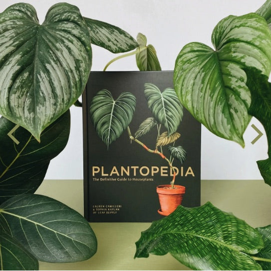 Books – Hopeless Botanics