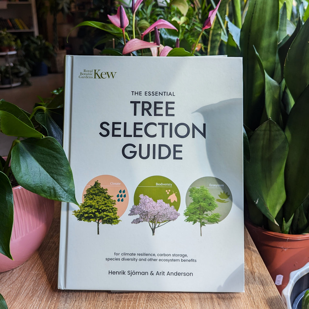 'The Tree Selection Guide' by Henrik Sjöman & Arit Anderson – Hopeless ...