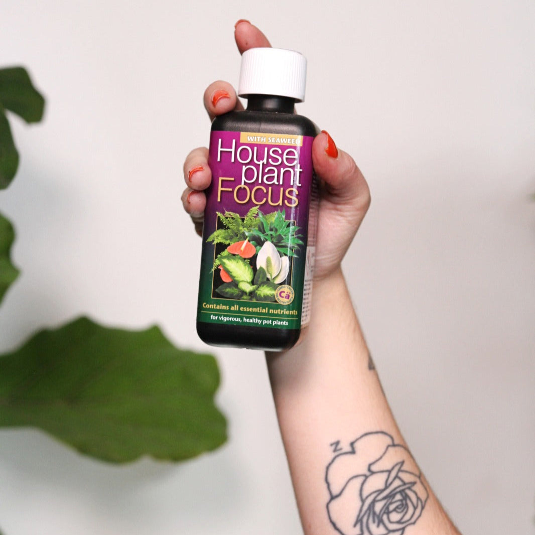 Hopeless Botanics