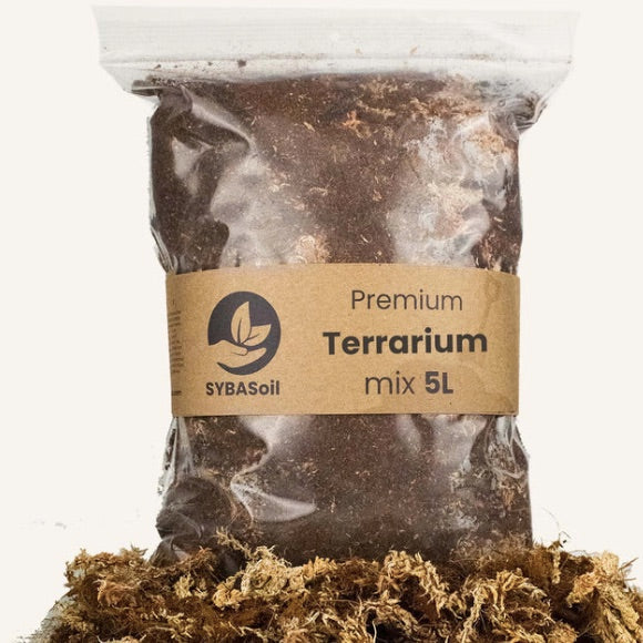 Terrarium mix (5 litres) | Hopeless Botanics